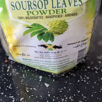 Jamaican GUINEA HEN Weed / Anamu Weed / Petiveria Alliacea/ ginny Hen ...