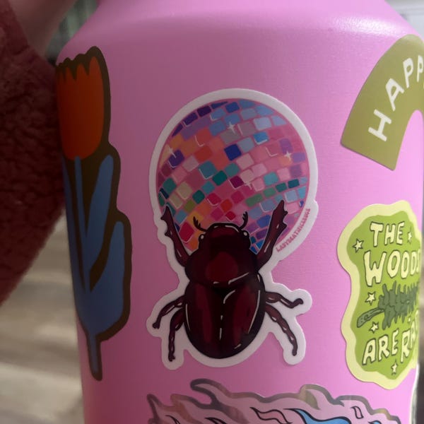 Support Local Biodiversity Environmental Preservation Original Art ...