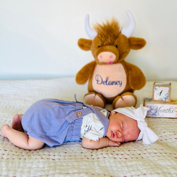 Personalized Stuffed Animal HIGHLAND Cow, Highland Cow Baby Shower Gift ...