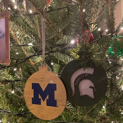 Pair of MSU Spartan Officially Licensed Etched Glasses 16 Oz Mason Jar ...