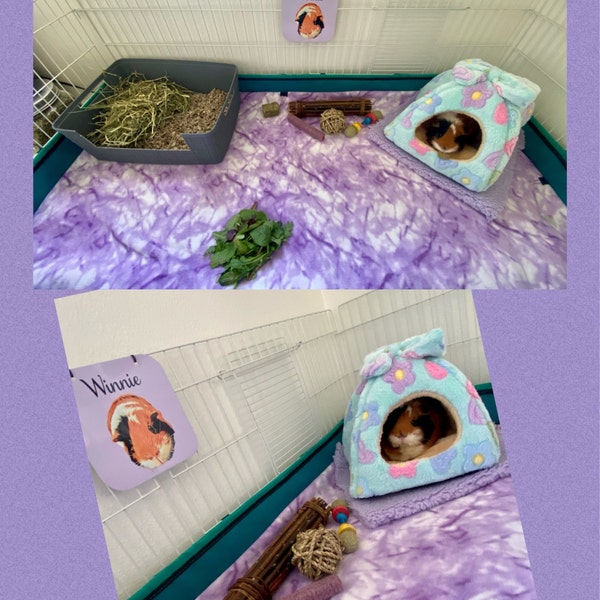 Guinea Pig Name Tag, Guinea Pig Accessories, Pet Tag, Guinea Pig ...