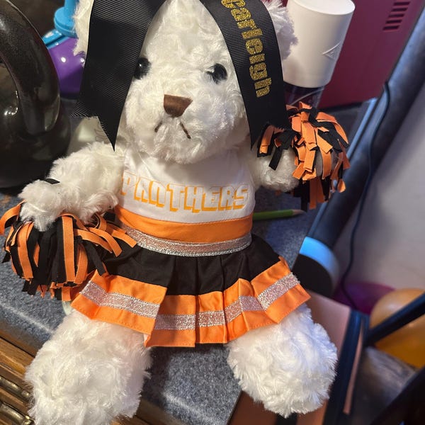 Personalized Cheerleading Plush Bear, Custom All-star Cheer Bears ...