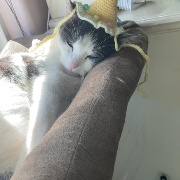 Adjustable Cute Crochet Soft Ribbon Kitten Collar Pet Costume Cat ...