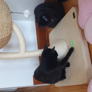 Kitty Lizard Articulated Cat Toy - Etsy