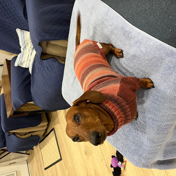 Dachshund Sweater - Dog Clothes - Dog Clothing - Dog Sweater ...