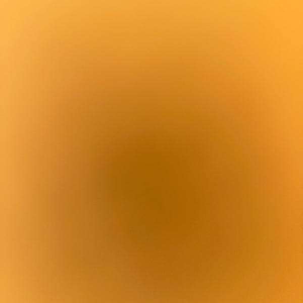 Vest E-collar Jacket for African Grey Parrots That Pluck & Pick ...