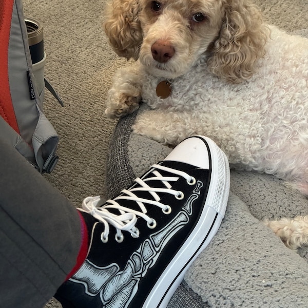 Custom Skeleton Feet Shoes - Converse High Top for Men and Women - Etsy