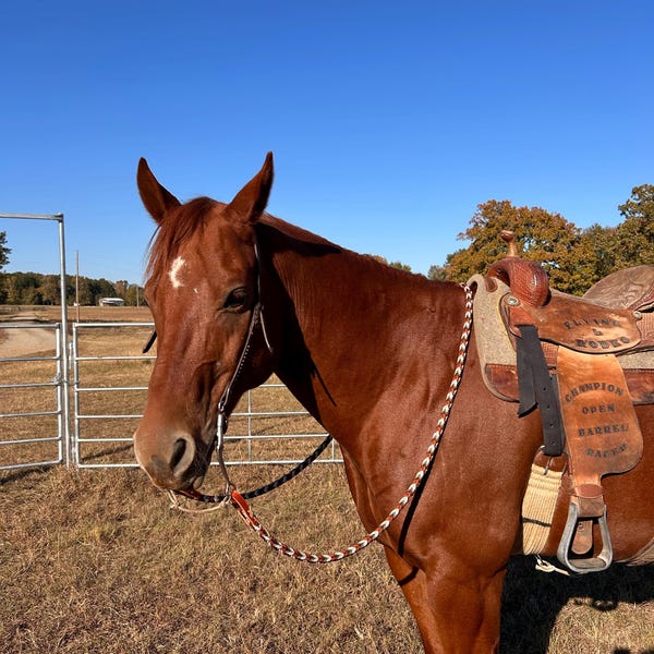 Paracord Loop Reins, 9 Ft. Length, Leather Water Tie End, Attaches to ...