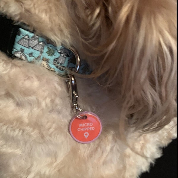 Easy Dog Tag Changer, Dog Collar Id Tag Clip With Lobster Clasp and ...