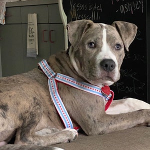 Thanks Dawg Greeting Card Thank you Card Dog thank you | Etsy