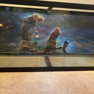 Personalized Magnetic Full Size License Plate Magnet Any State - Etsy