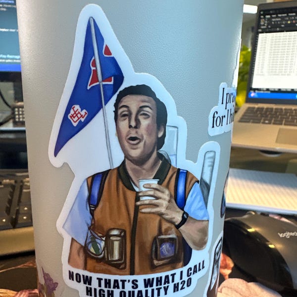 Bobby Boucher H2o Waterboy Vinyl Sticker or Magnet (matte Finish) - Etsy