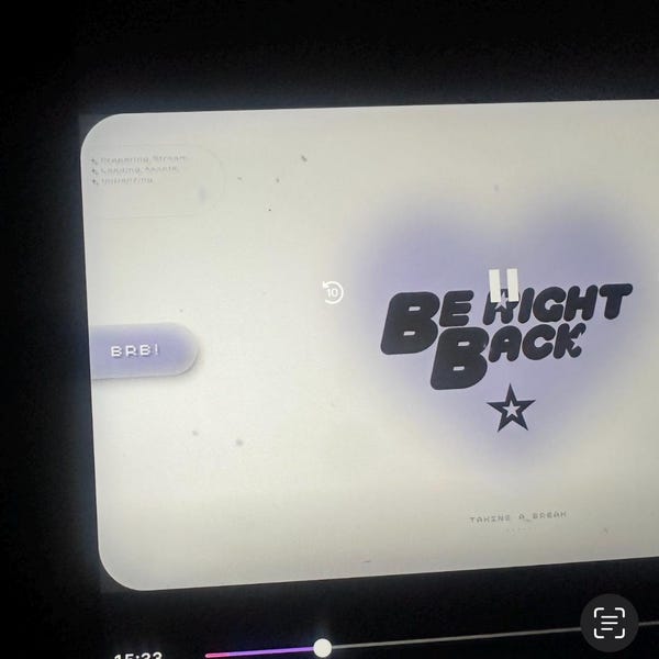 Aesthetic Y2K | Animated Stream Overlay Pack - Etsy