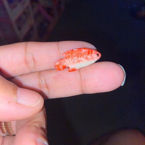 1:12 Scale 1 X Handmade Fish Dolls House Food Kitchen - Etsy