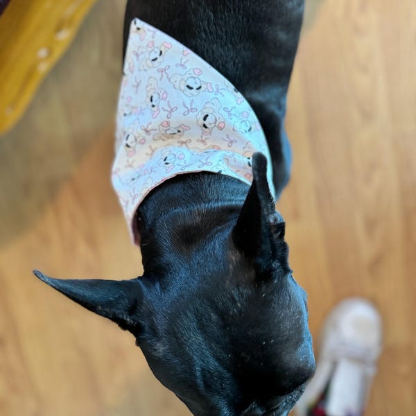 Rainbow Doxie, Curved Neck Snap on Dog Bandana, Winter Pet Collar ...