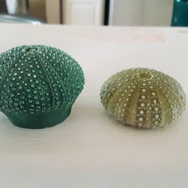 Beach House Cupboard Knobs Drawer Knobs Cabinet Knobs Dresser Knobs Decorative Knobs Kitchen ...