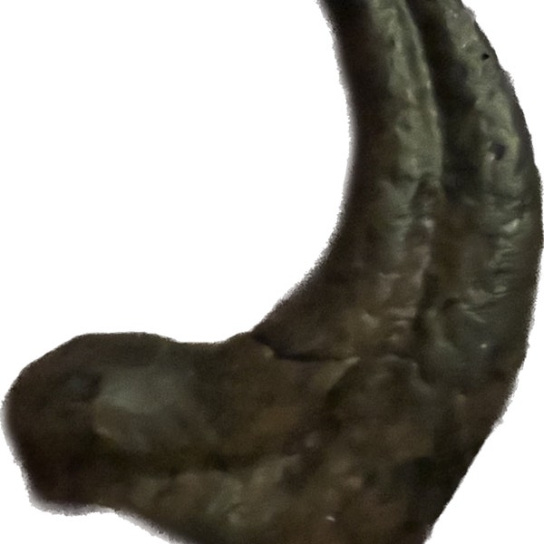 Velociraptor Claw, Raptor Claw Fossil Replica, Utah Raptor, Dinosaur ...