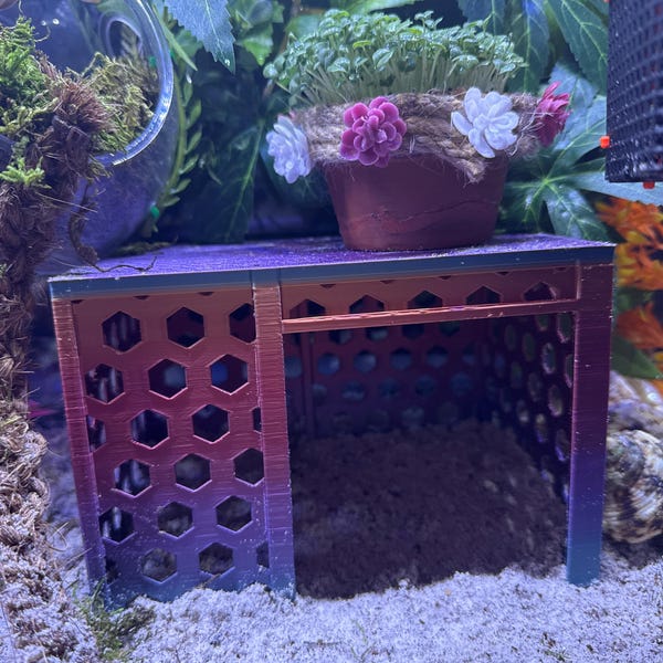 Hermit Crab Tank Climber/food Stand - Etsy