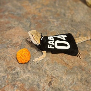 Bearded Dragon Candy Corn Costume Sweater, Halloween Lizard Sweater ...