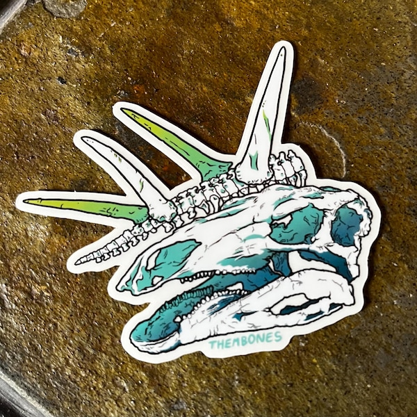 Herbivore Dinosaur Skull Stickers: Clear Vinyl Decals - Etsy