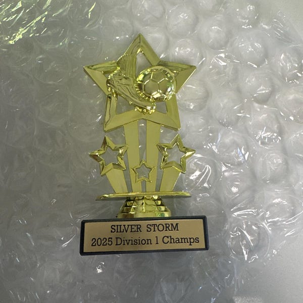 Gold Star Trophy With Choice of Column Color. Great for Any Team ...