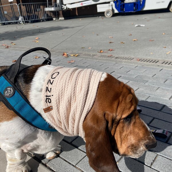 Dog Infinity Scarf (aspen) - Bandeau Scarf, Flannel, Dog Neck Wear ...