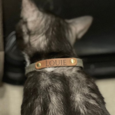 Personalized Cat Collar With Name Tag, Leather Cat Collar With Bell ...