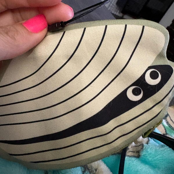 Cute Clam Shell Coin Purse, Card Holder, Mini Storage Pouch Small ...