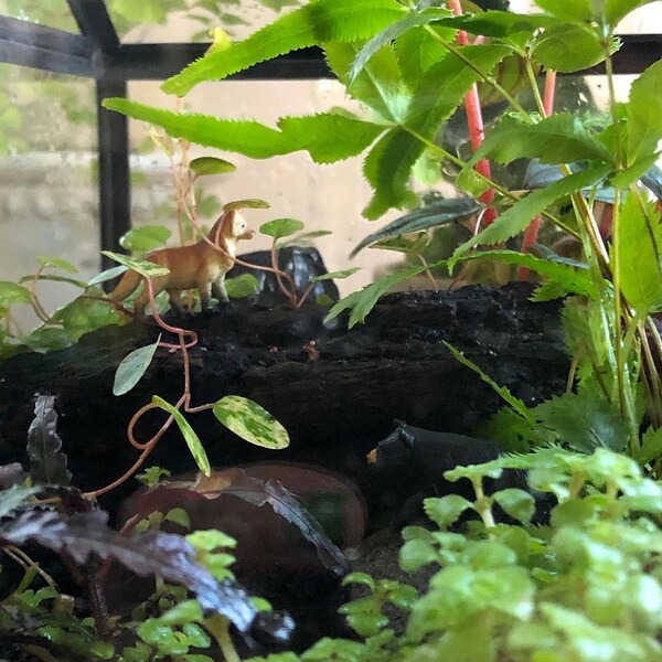 Set of Miniature Foxes - Mini Fox - Terrarium Supplies - Soap Making ...