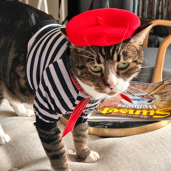 Complete French Cat Outfit- Cat Beret, Ascot and Striped Shirt Pet ...