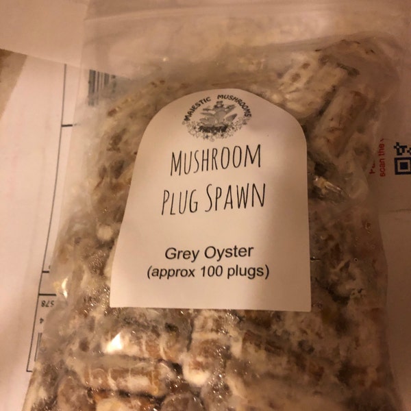 Grey Oyster Plug Spawn 100x - FREE USA Shipping - Etsy