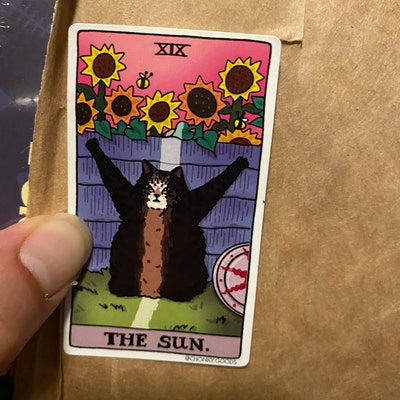 Birthday Blessing From the Pope Cat Meme Croc Cat Meme Funny - Etsy