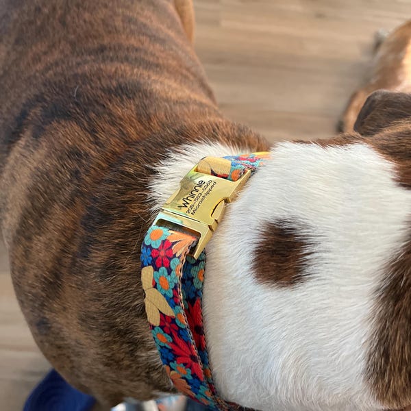 Personalized Flower Dog Collars, Floral Design Dog Collar With Metal ...