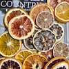 Dried Citrus Wheels in Small Boxes - Etsy
