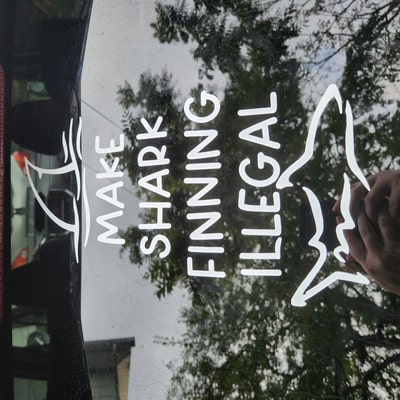 Florida Tailing Redfish SVG Image Cut File for Cricut. Make - Etsy