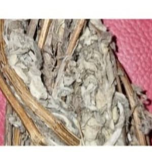 Maroon Njeti Cloth- Ancestral Cloth - Amabhayi - Masela a Badimo ...