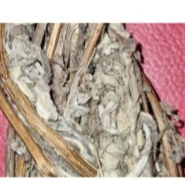 Maroon Njeti Cloth- Ancestral Cloth - Amabhayi - Masela a Badimo ...