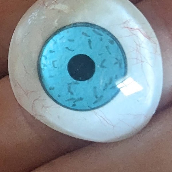 Prosthetic Eyeball | Acrylic Human Fake Eye Medical Oddity Curio ...