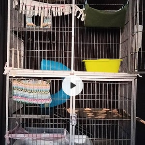 Corner House for Rats, Sugar Gliders, Ferrets, Corner Hammock, Corner ...