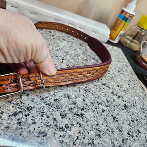 Pattern Pack: 7 Bronc Halter & Noseband Templates for Leatherwork - Etsy