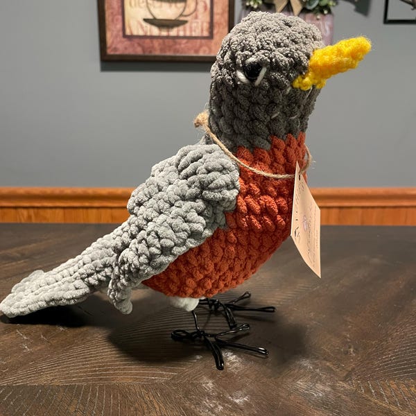 American Robin Bird Crochet Amigurumi Pattern PDF - Realistic Robin - Etsy