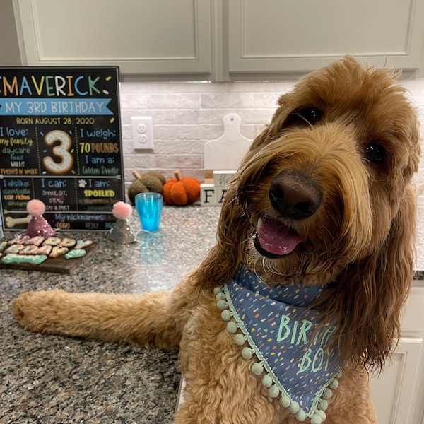 Dog First Birthday Sign, Puppy 1st Birthday Poster, Puppy First ...