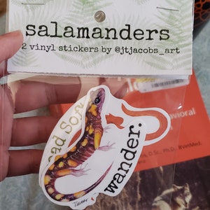 Monarch Butterfly Life Cycle Vinyl Sticker Packs - Etsy