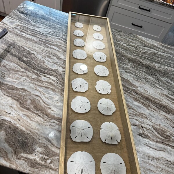 24x36 4” Custom Shadow Box With Lid, 5 Shelves, Wood Backing, Tempered ...