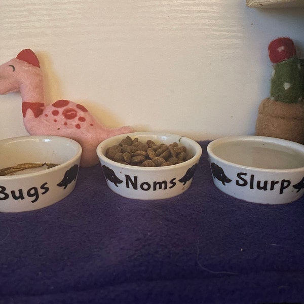 Ceramic Hedgehog Food, Water and Treat Bowls. Hedgehog Noms, Slurp and ...