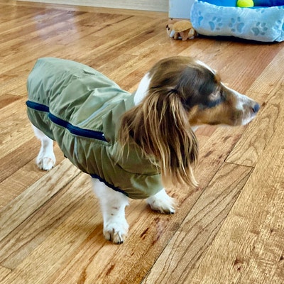 Light Jacket for Dog Raincoat for Dog Clothing for Dog Dog Wear Pet ...