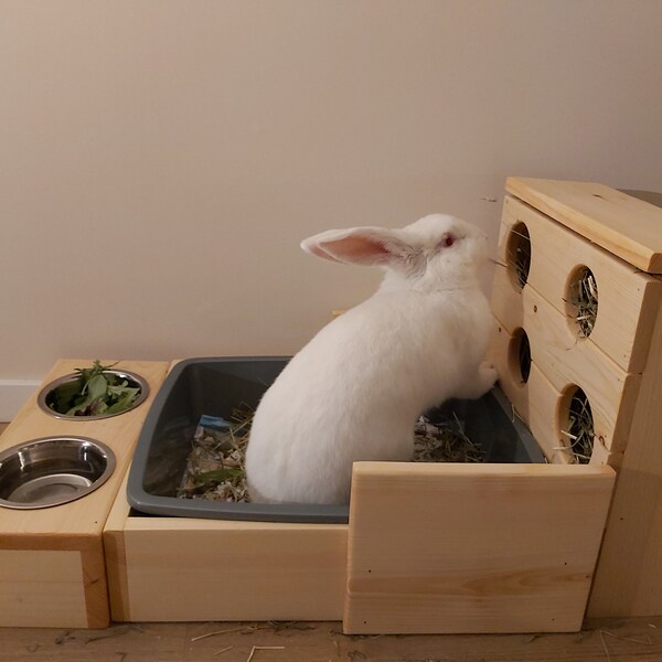 Rabbit Hay Feeder and Litter Box With Extended Walls, Small Animal Hay ...