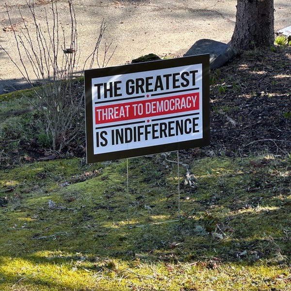 What is Democracy Bumper Sticker, Water Resistant Vinyl, 11 X 3, When ...