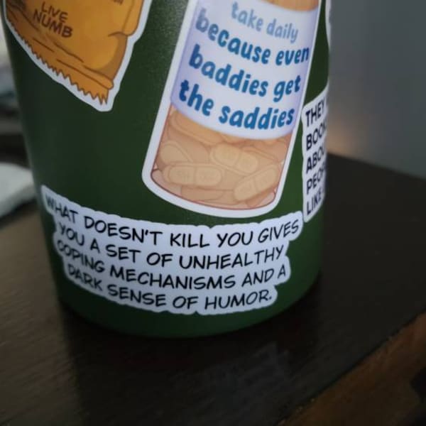 Sarcastic Funny Stickers, Water Bottle Stickers, What Doesn't Kill You ...