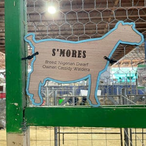 Market Barrow Hog Pig Show Award for Livestock Show Expo 4H Trophy - Etsy